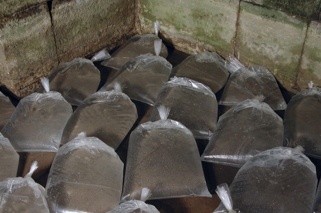 Voda na poklon | Vanja Pagar